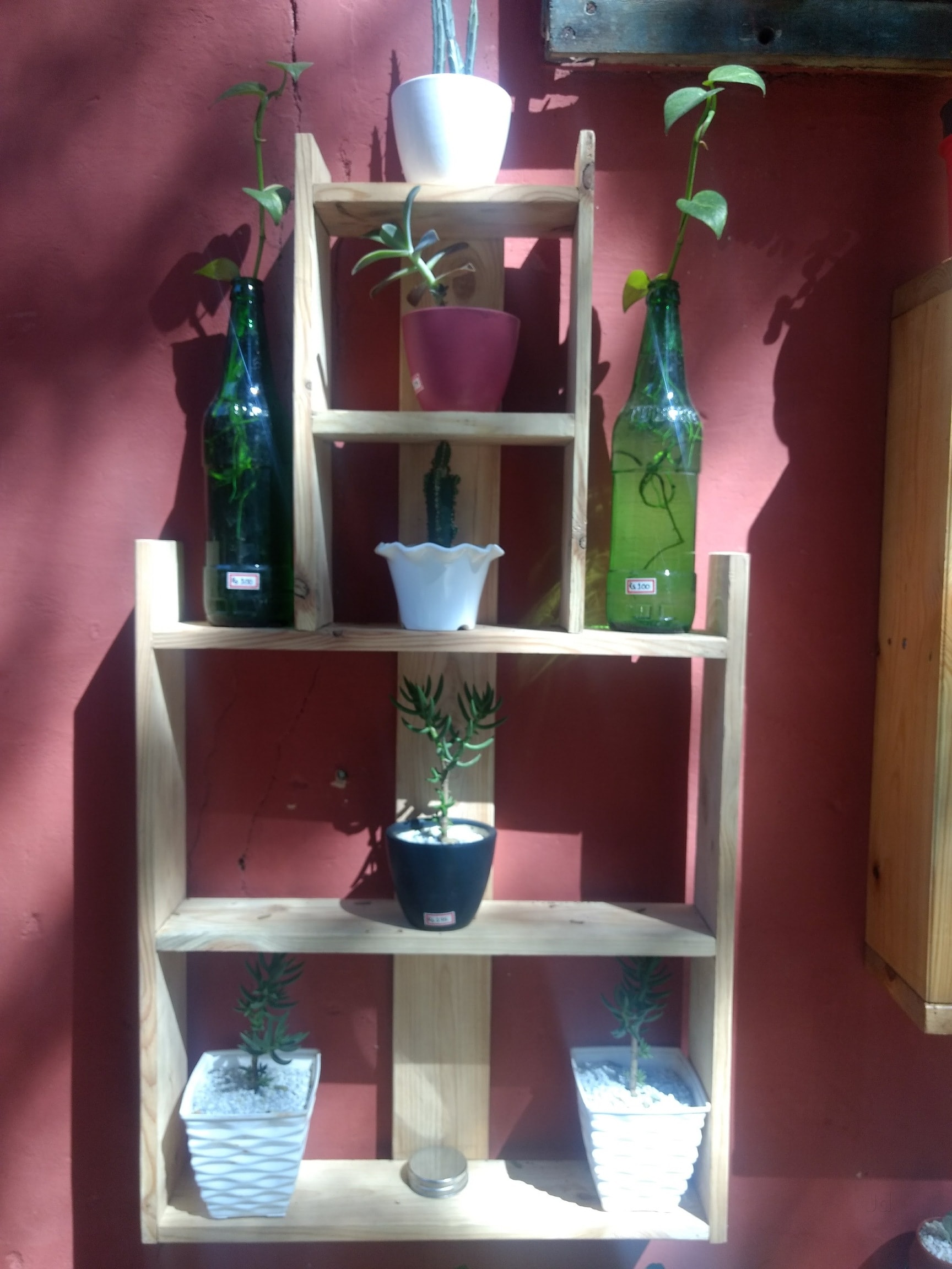 Green Works in Shivaji Nagar, Bangalore - Best Plant Nurseries in ...