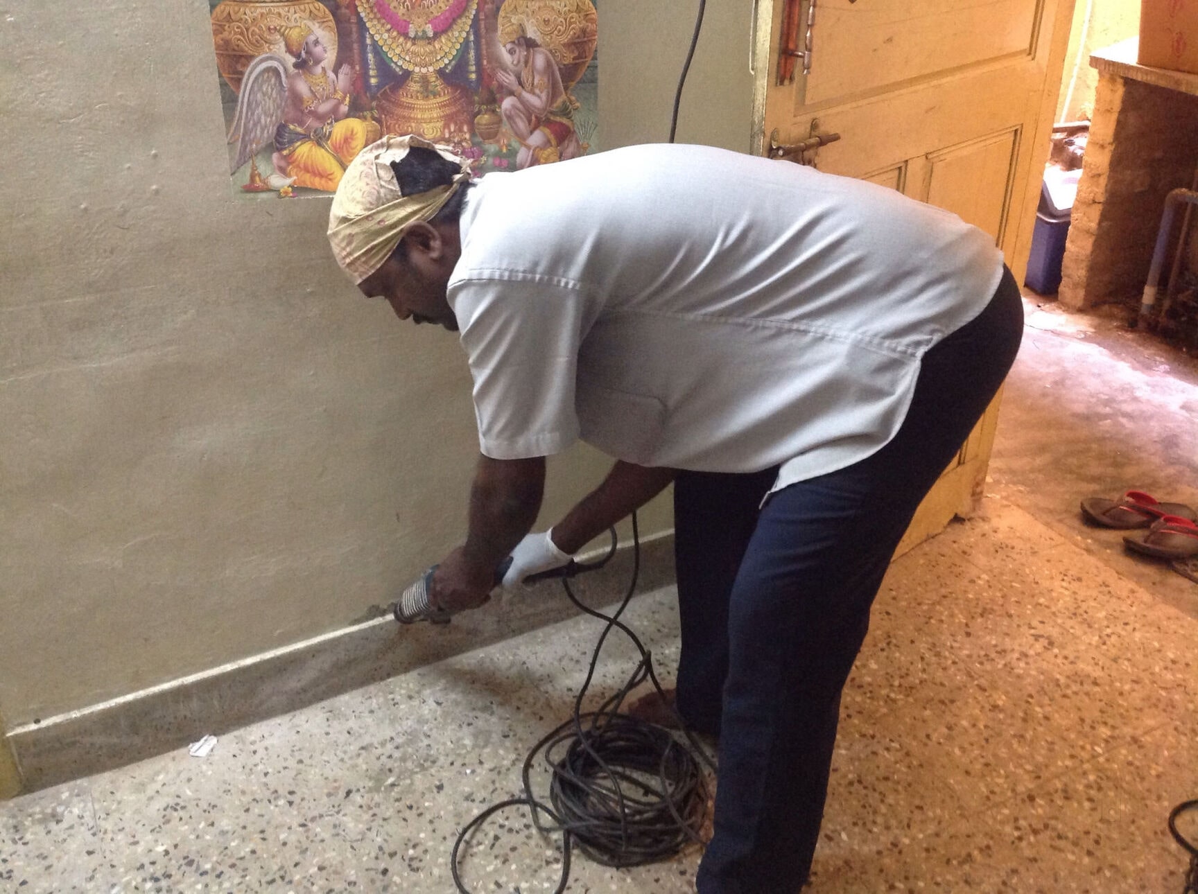 Anglo French Pest Control in Mylapore,Chennai - Best Pest Control ...