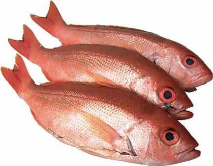 Sankar Fresh Fish And Crab in Madipakkam, Chennai - Best Fresh Seafood ...