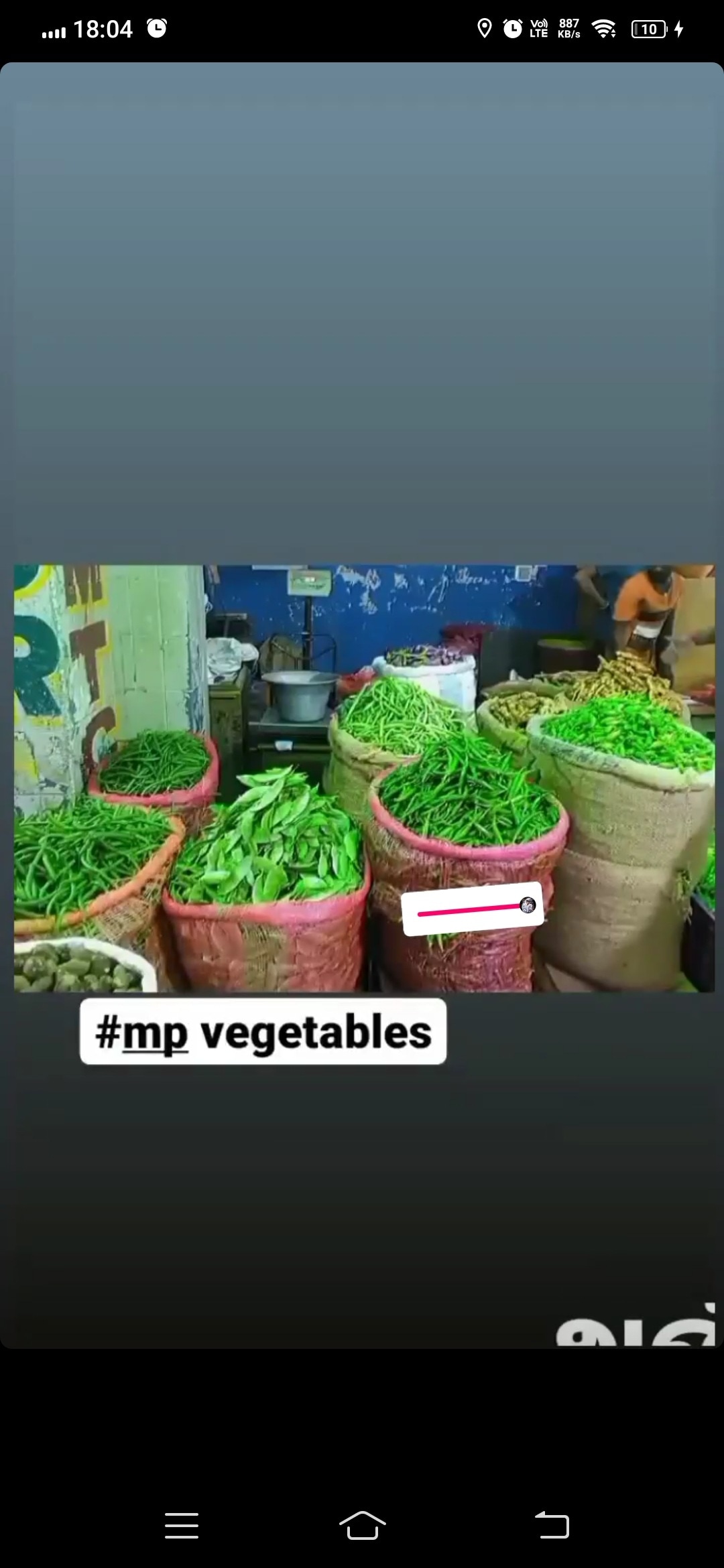 M P Vegetables in Wholesale Market Complex, Chennai - Best Vegetable ...