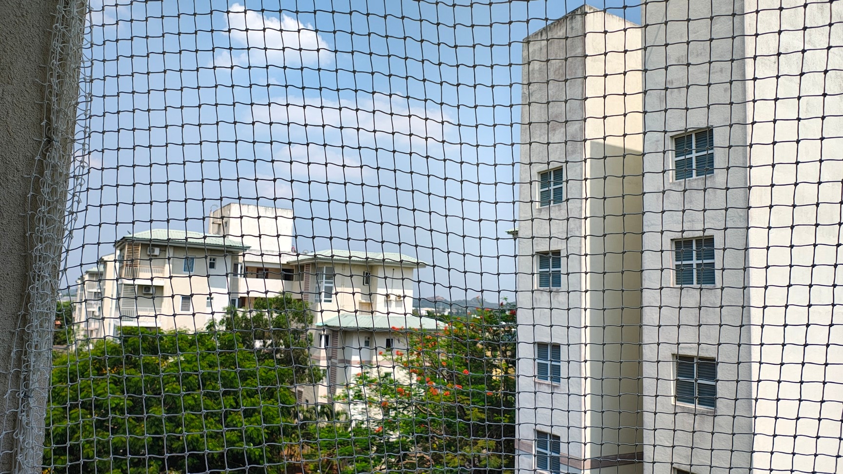 Pigeon Safety Nets in Choolaimedu, Chennai - Best Safety Equipment ...