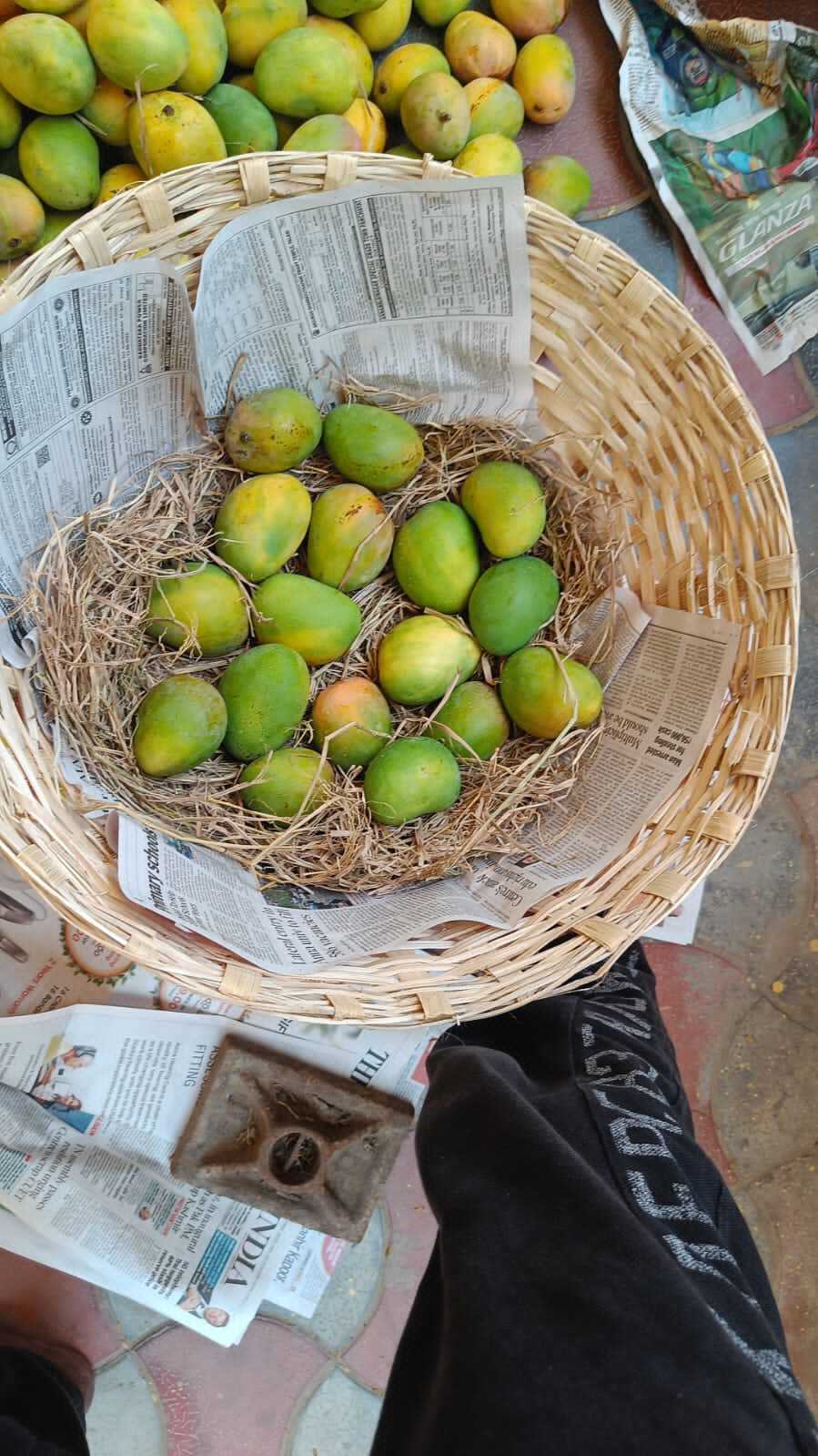 Mango Man in Panneer Nagar-Mogappair East, Chennai - Best Fruit ...