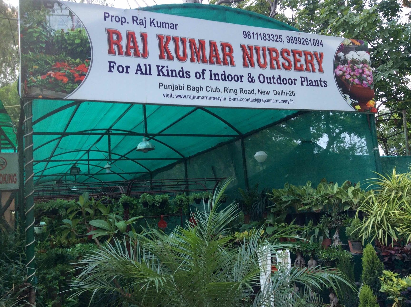 Plant Nurseries in Khera Kalan, Delhi - Explore Verified Nurseries ...