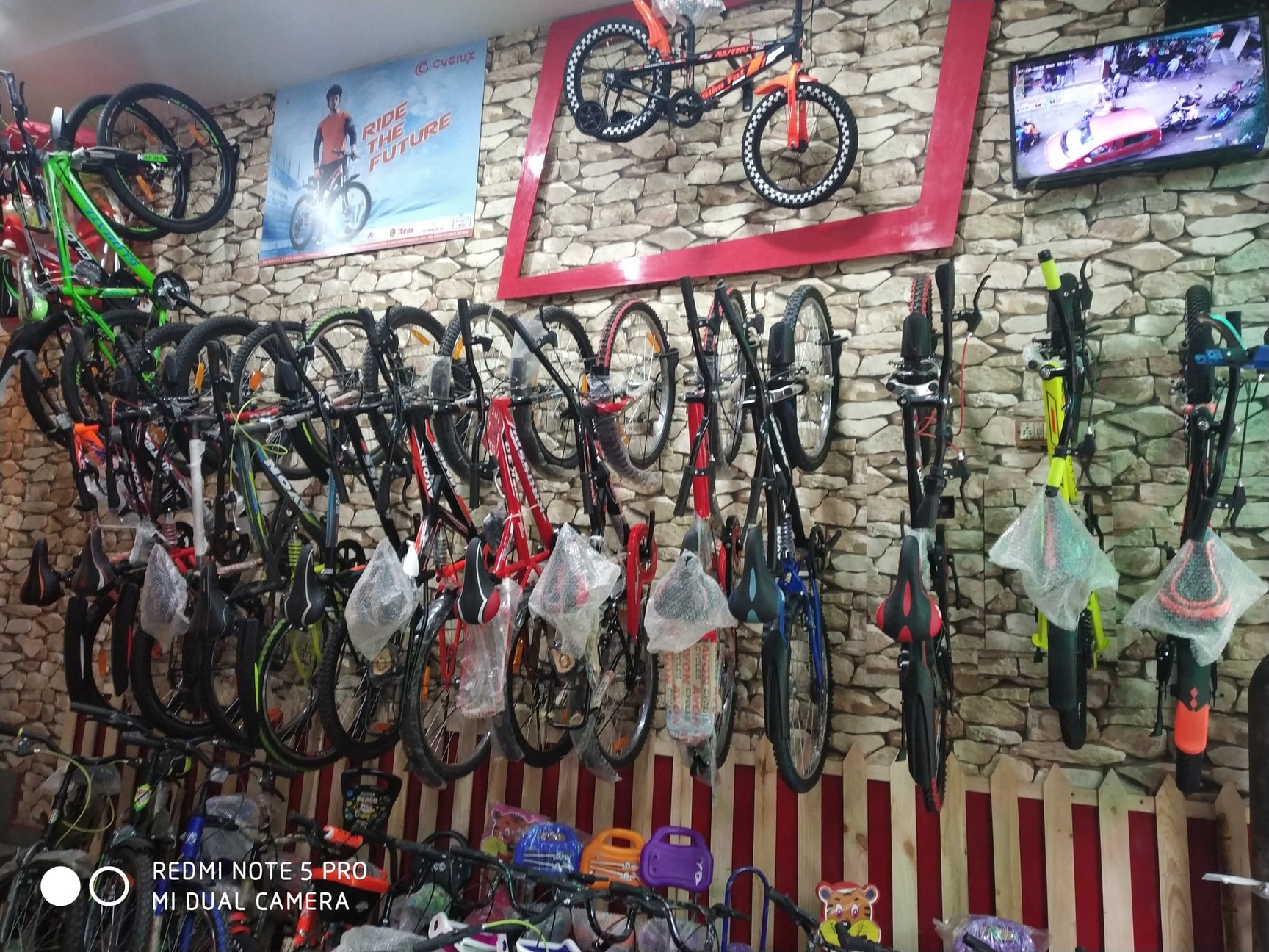 Top Bicycle Dealers Trek in Dujana - Best Trek Bikes Showrooms - Justdial
