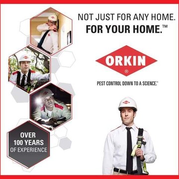 Orkin India Pest Control Services in Okhla Industrial Area Phase 2 Delhi Best Gel Pest Control Services near me in Delhi Justdial