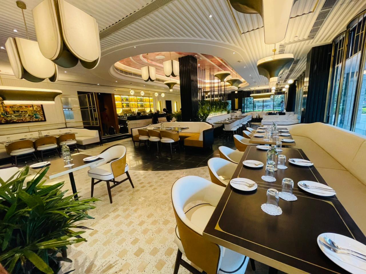 Havemore in Saket Delhi Order Food Online Best Restaurants near me in Delhi Justdial
