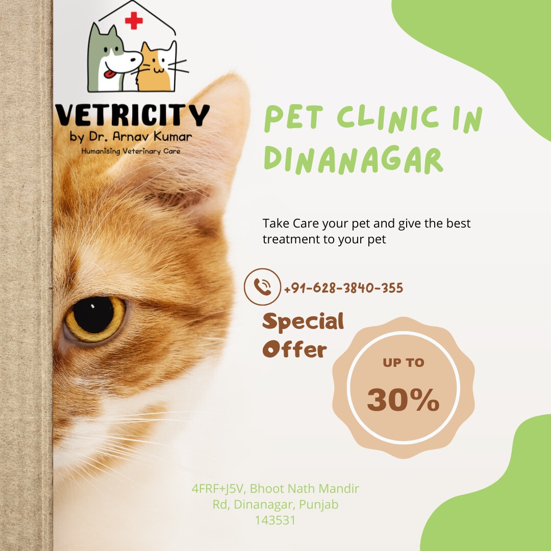 Best Veterinary Hospitals in Dhandoi, Batala - Top Animal Hospitals ...