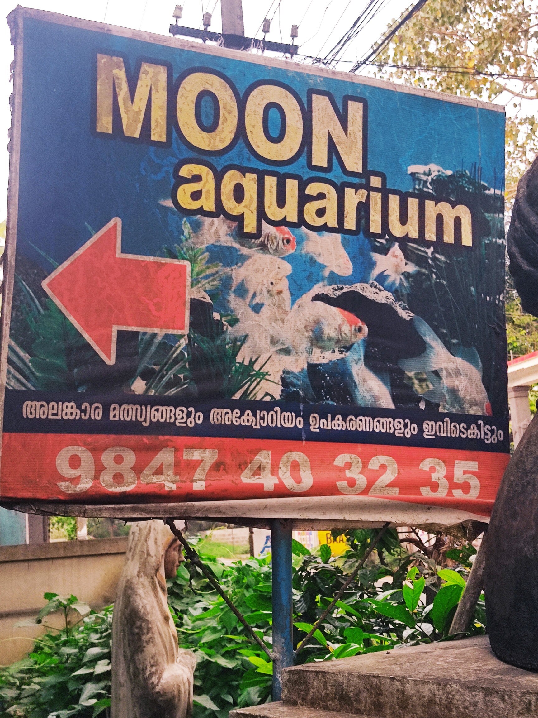 Moon Aquarium in Moothakunnam, Ernakulam - Best Aquarium Accessory ...