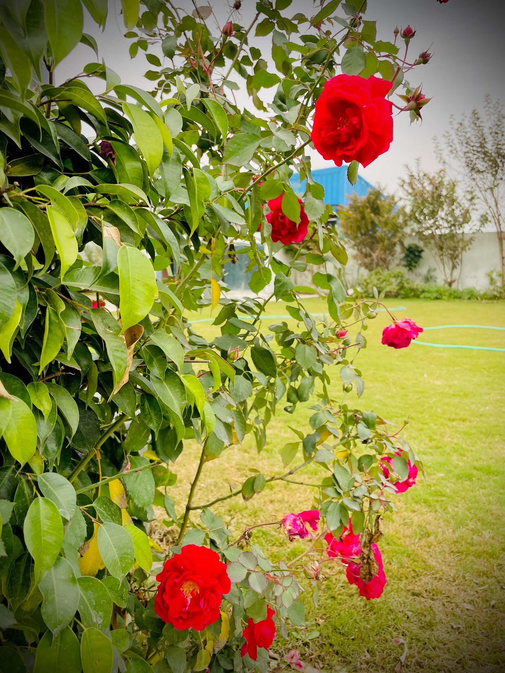 Chandan Rawat Vatika & Lawn in Bhanakpur, Faridabad - Best Agro Farming ...