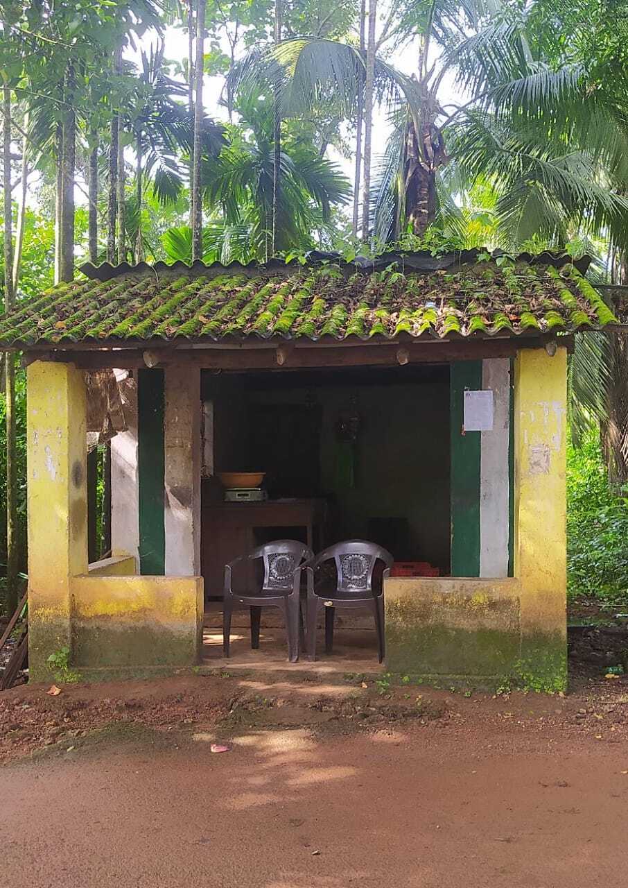 Vijay Horticulture in Tuem, Goa - Best Seed Retailers in Goa - Justdial