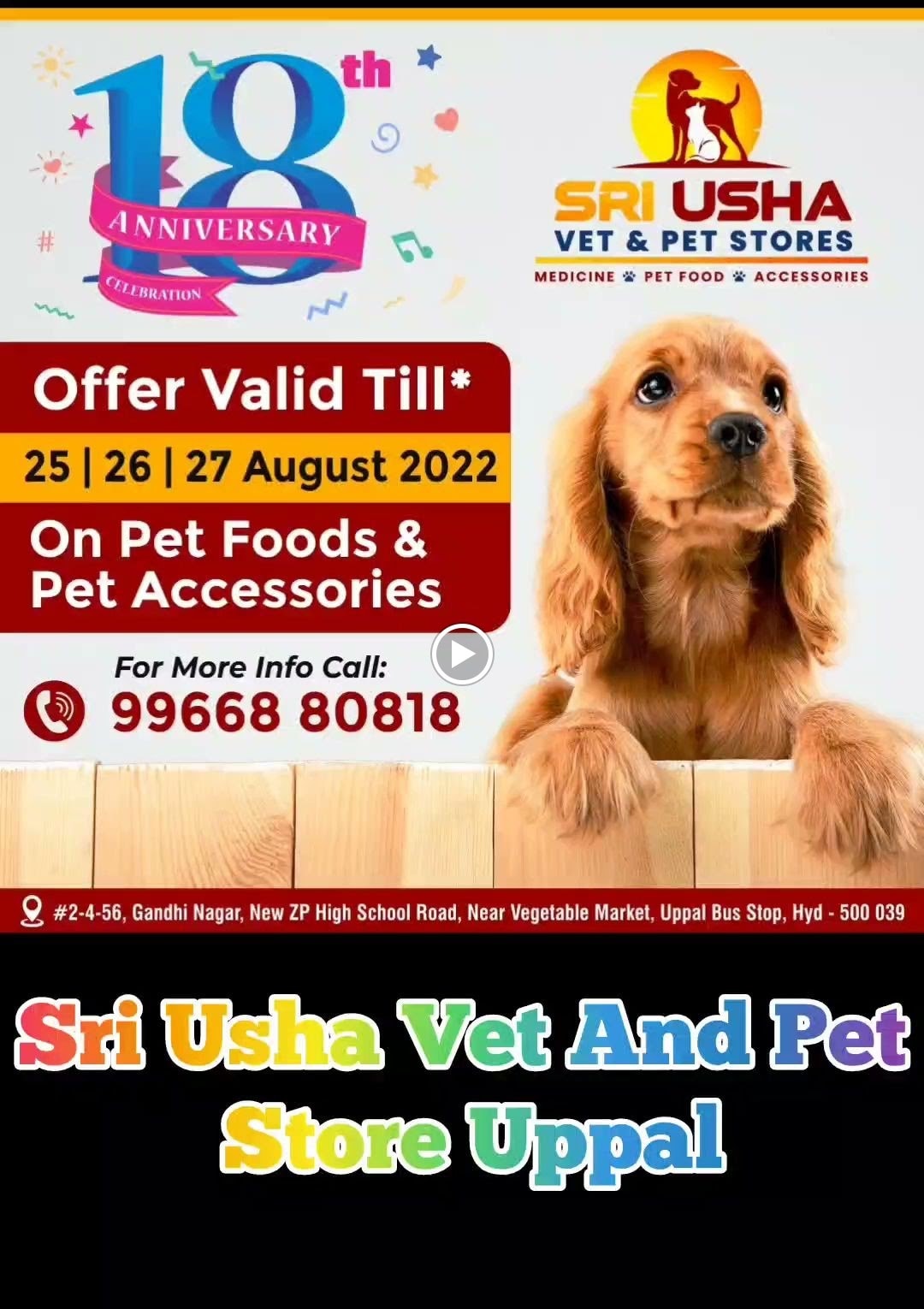 Top Pet Shops in Hyderabad - Best Pet Store near me - Justdial