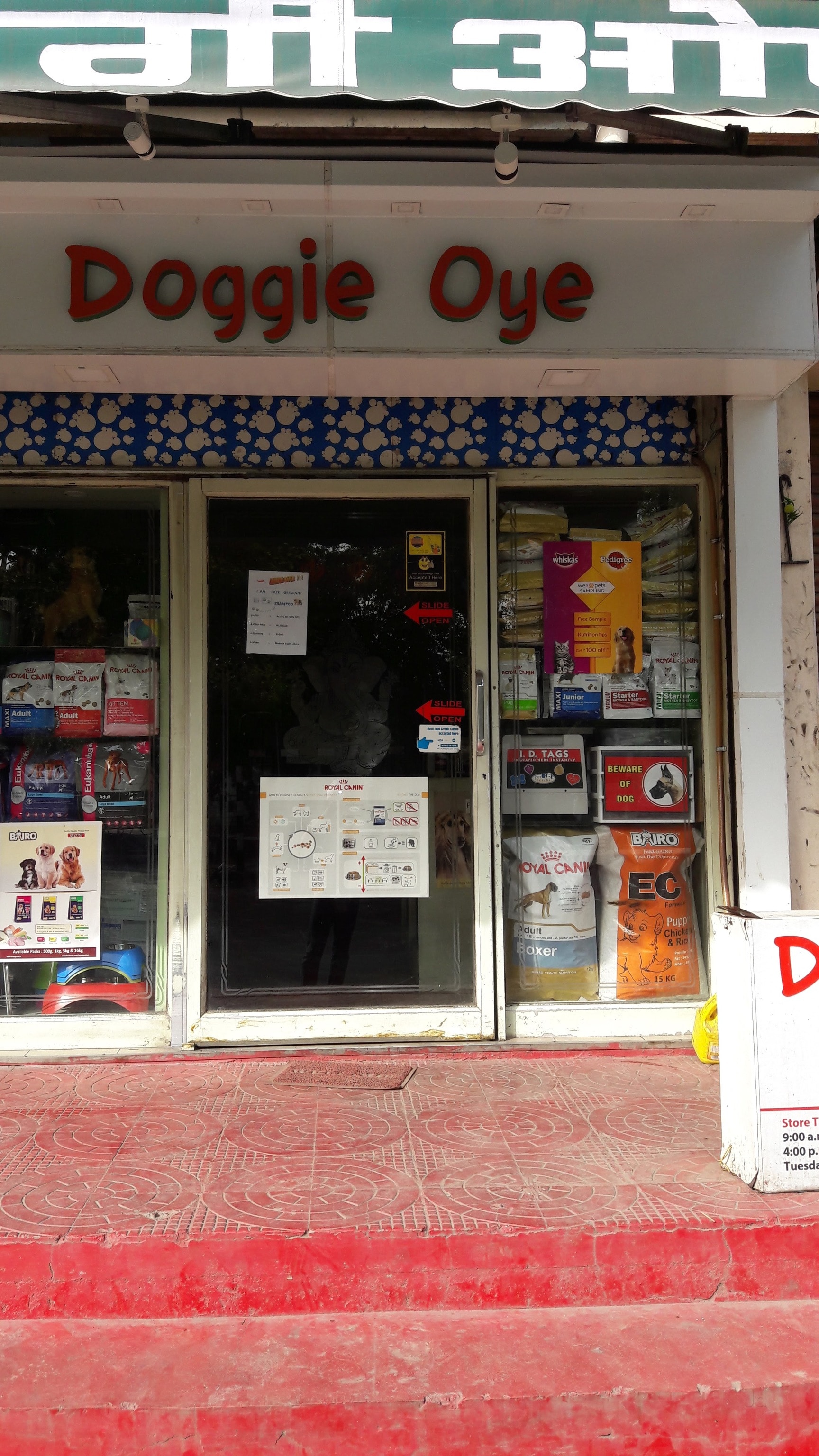Top Pet Shops in Jamshedpur - Best Pet Store near me - Justdial