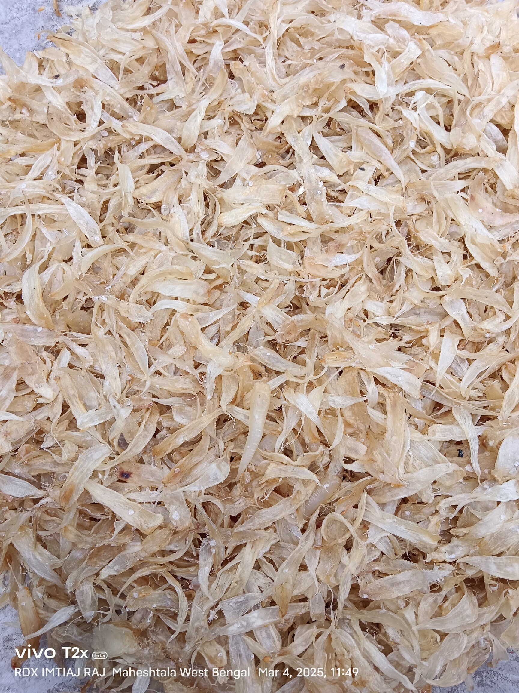 Imtiaj Enterprise in Kolkata - Best Fish Processing Machinery Dealers ...