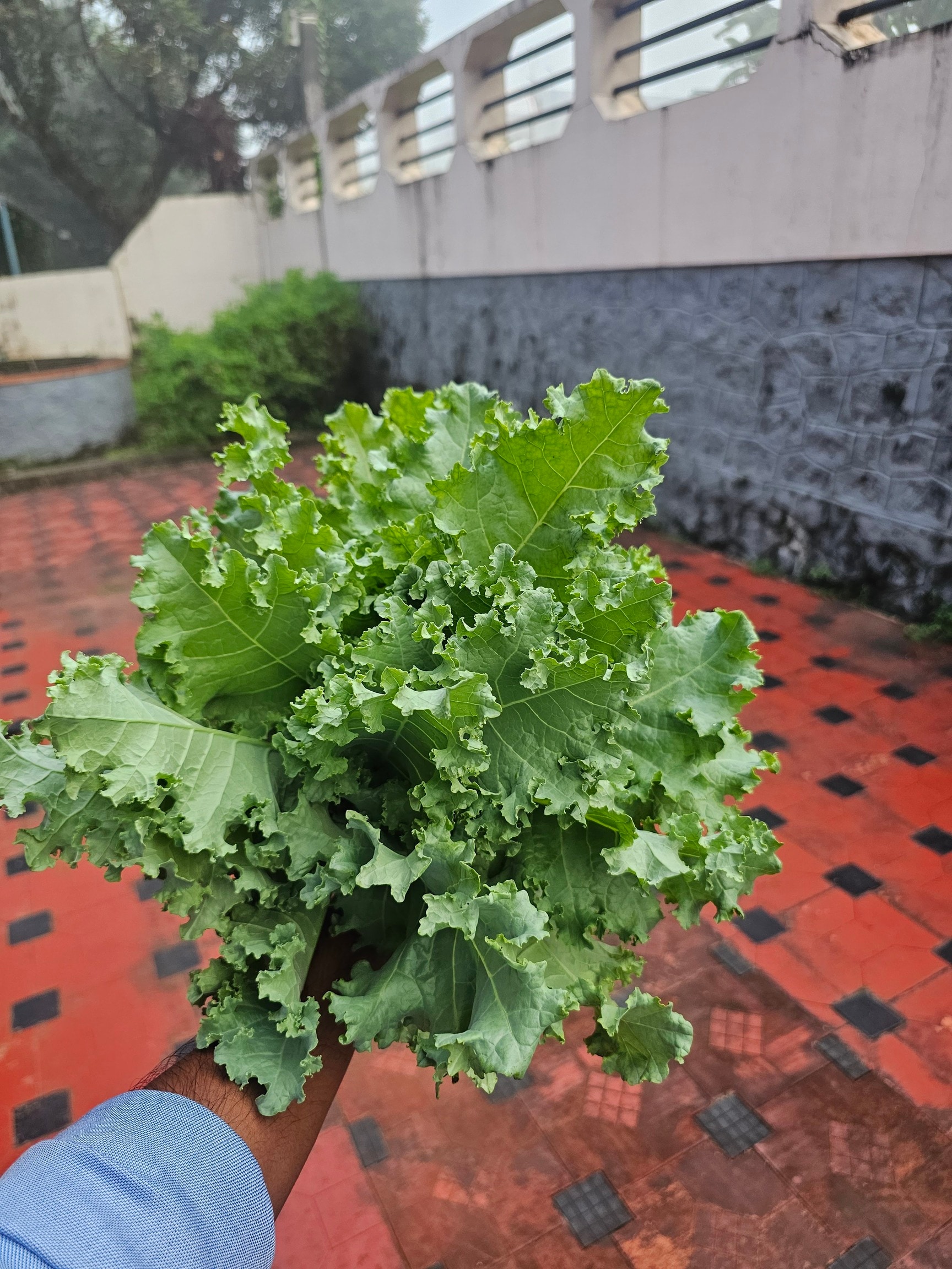 Evo Farm India Pvt. Ltd. in Vettikavala, Kollam - Best Agricultural ...