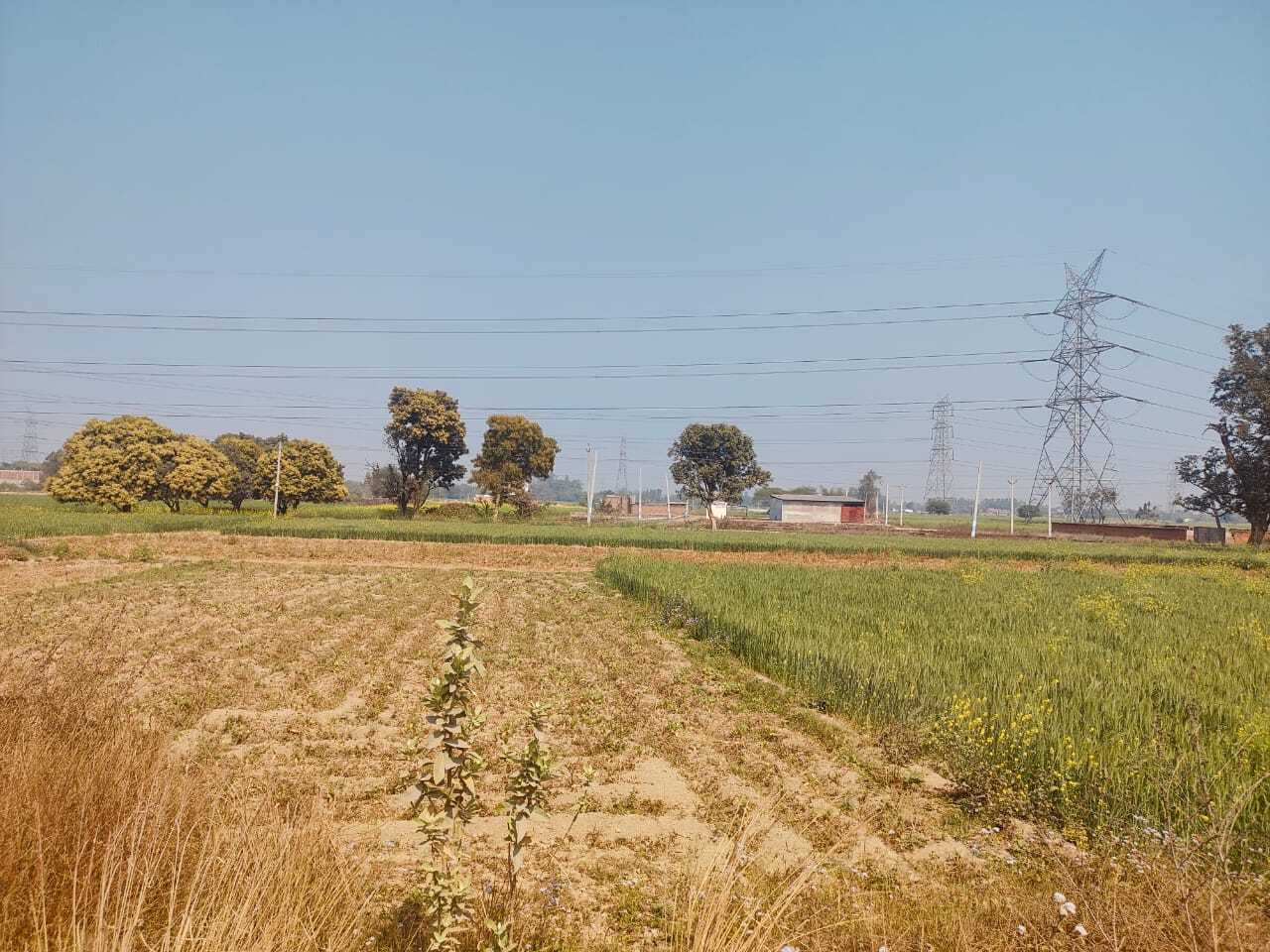 Dr. Anand Farm in Lucknow - Best Agro Farming Services in Lucknow ...