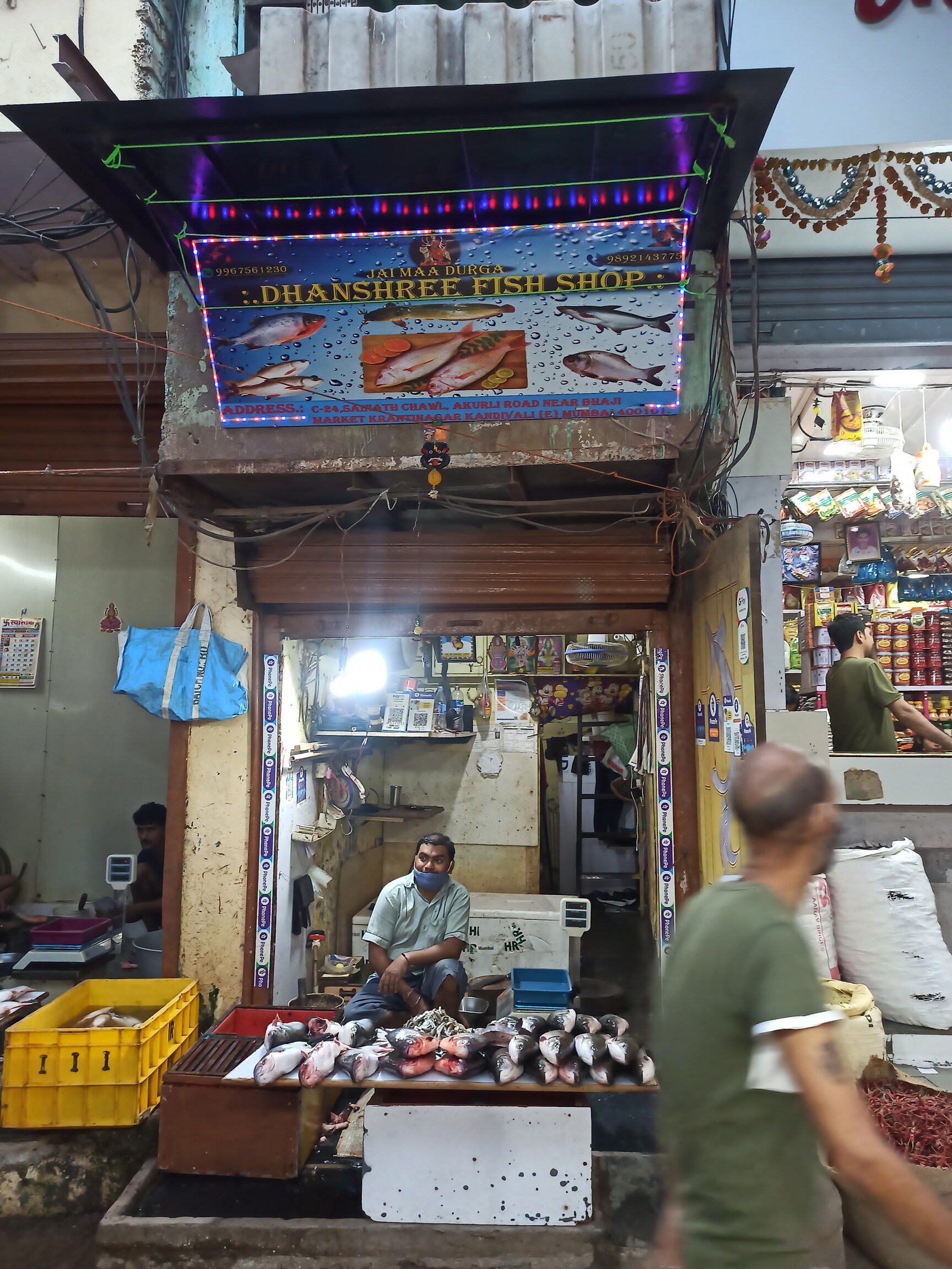 Dhanshree Fish Shop in Kandivali East, Mumbai - Best Fishing Equipment ...