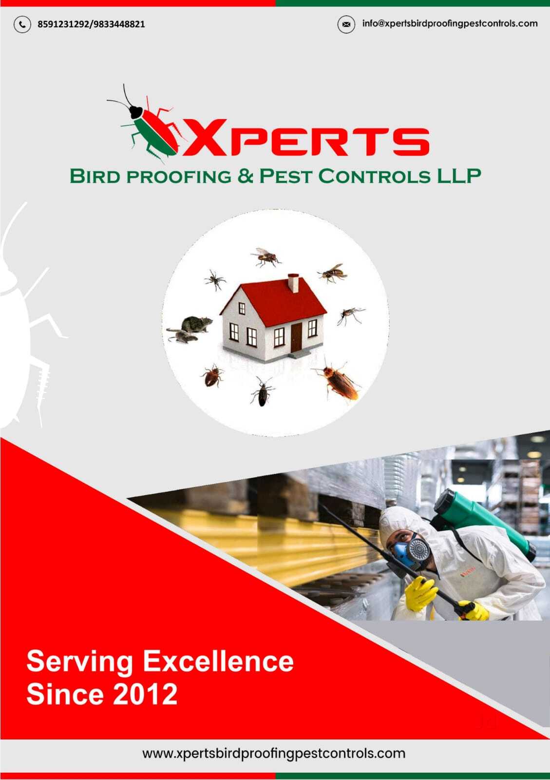 Pest Control Services for Bed Bugs near Pinnacle Super Specialty Clinic ...