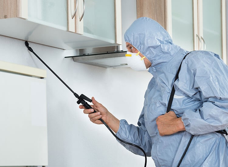 Pest Control Services for Bed Bugs near Kc College Of Law Churchgate ...