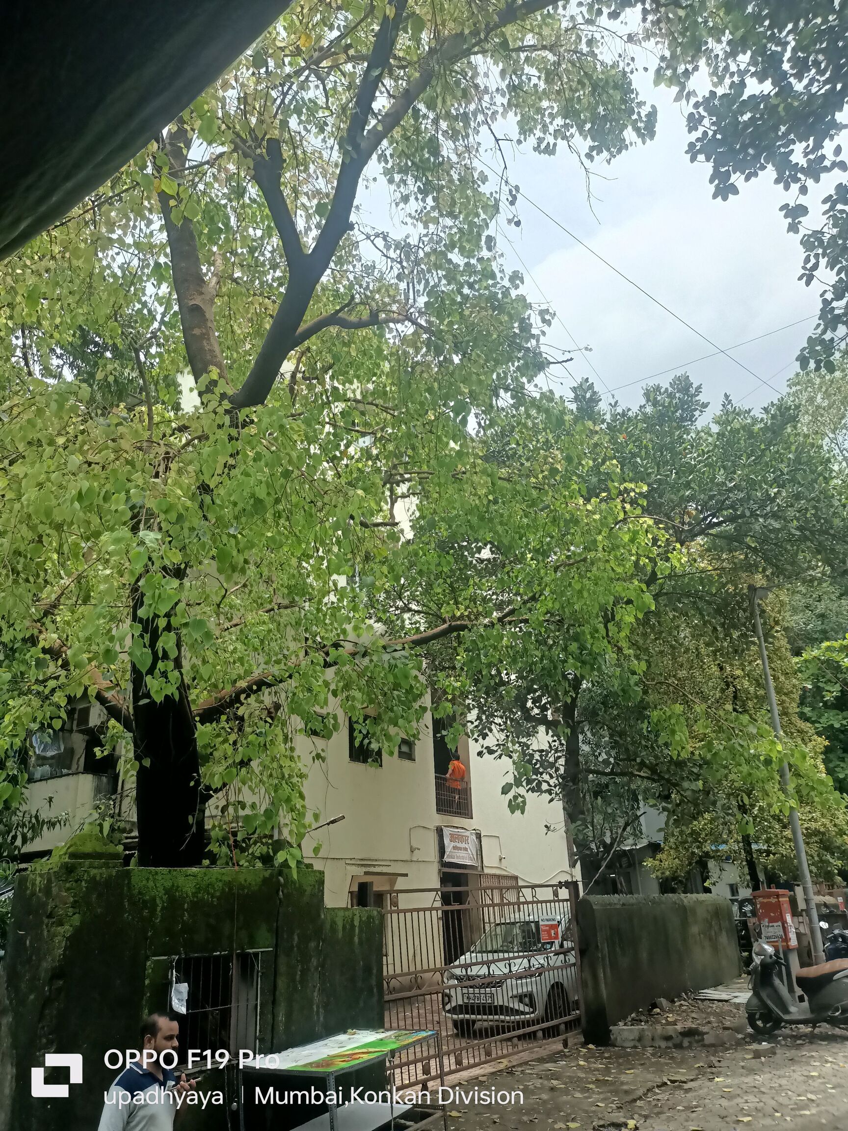 Sameer Package in Goregaon East, Mumbai - Best Box Manufacturers in ...