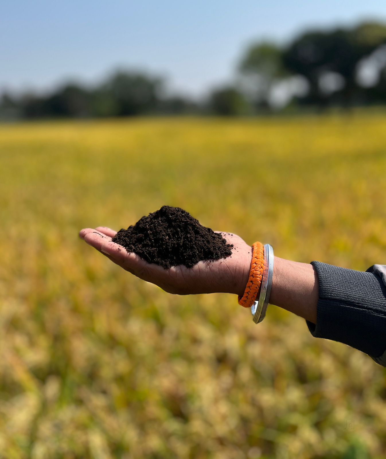Ajmera Organics in Bhagur, Nashik - Best Cow Manure Distributors in ...