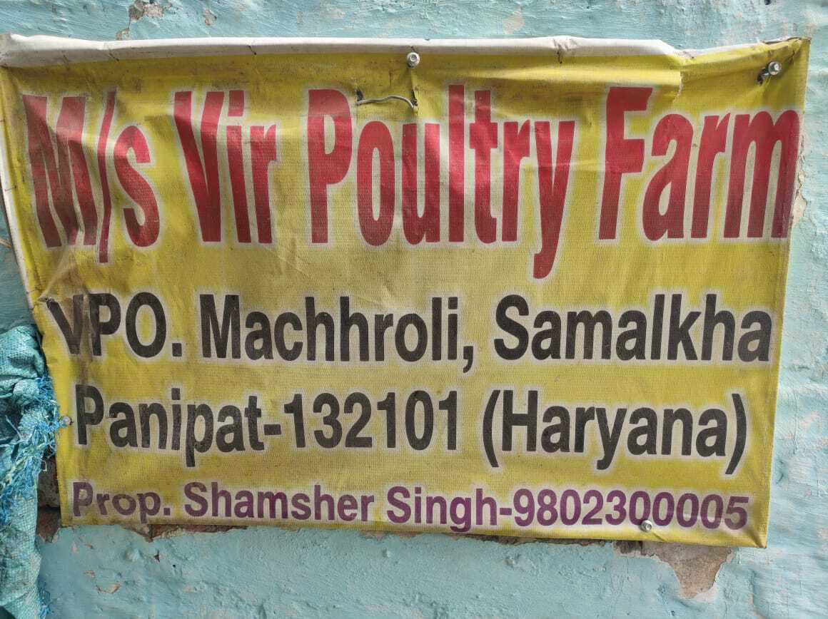 Vir Poultry Farm in Ohbc Panipat, Panipat - Best Poultry Farms in ...