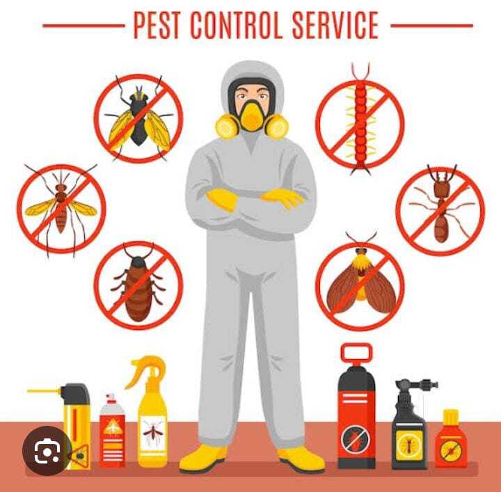 Termite Pest Control Services near Aditya Eye Hospital Lasik Centre ...