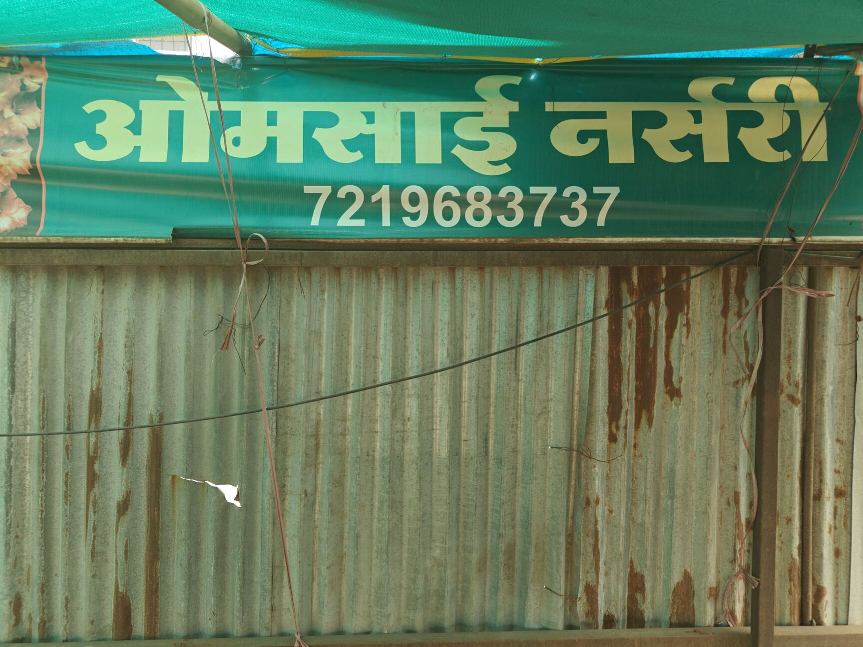 Om Nursurey in Bhosari, Pune - Best Plant Nurseries in Pune - Justdial