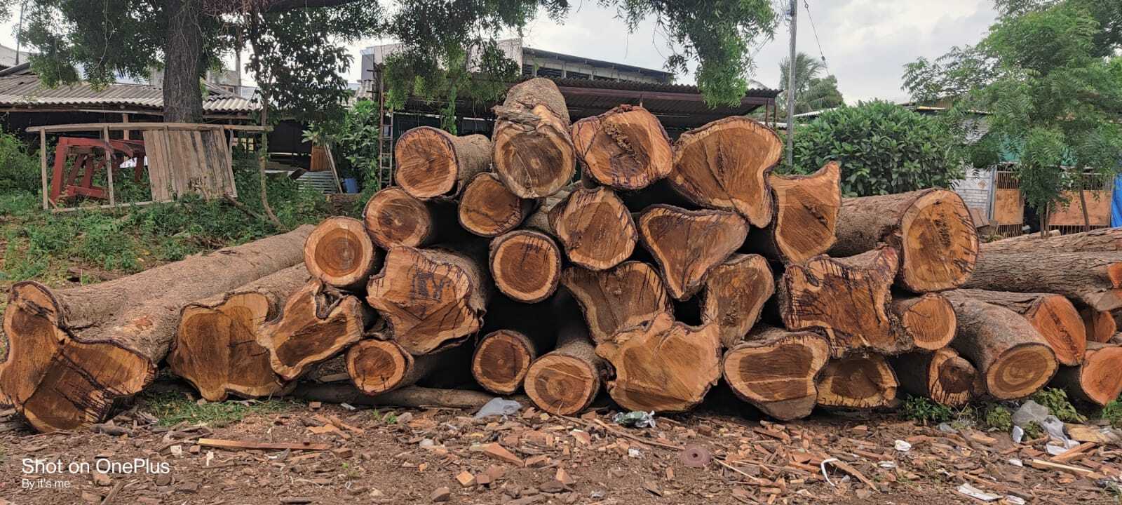 Nsa Saw Mill in Peravoor, Ramanathapuram - Best Saw Mills in ...