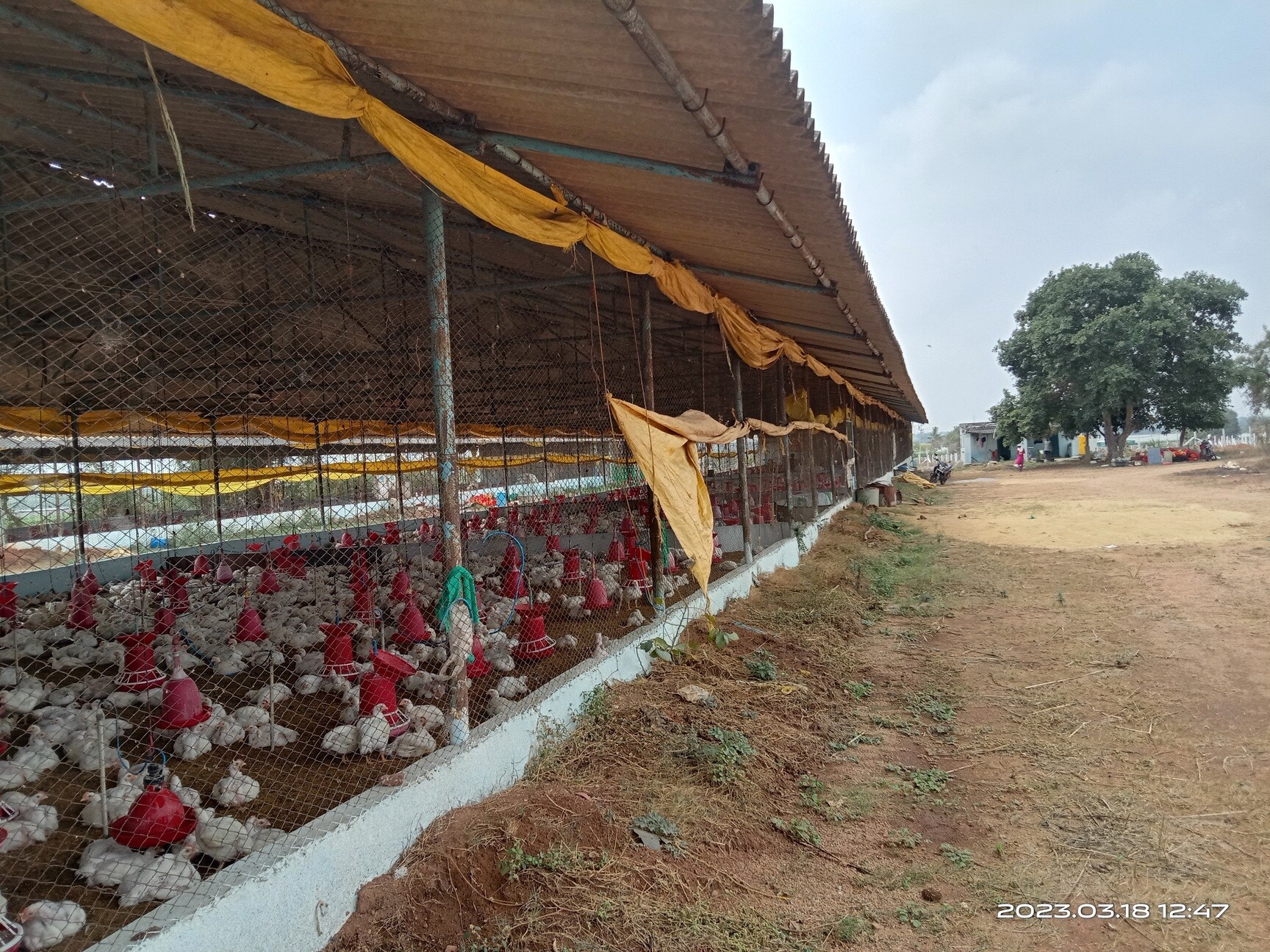 Sri Om Poultry Farm in Hythabad, Rangareddy - Best Poultry Farms in ...