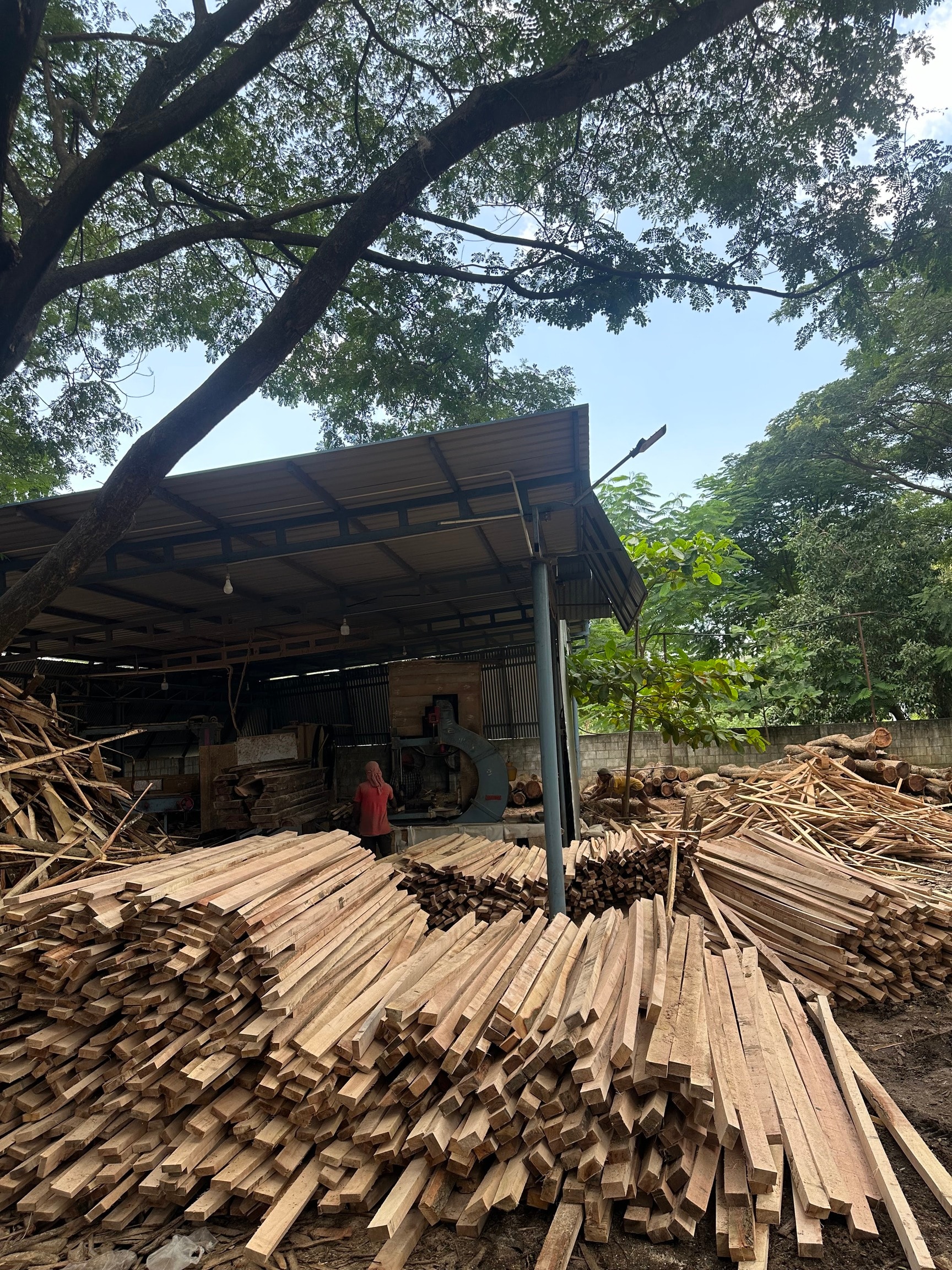 Rs Timber Silverwood in Vinayakampatti, Salem - Best Wood Dealers in ...