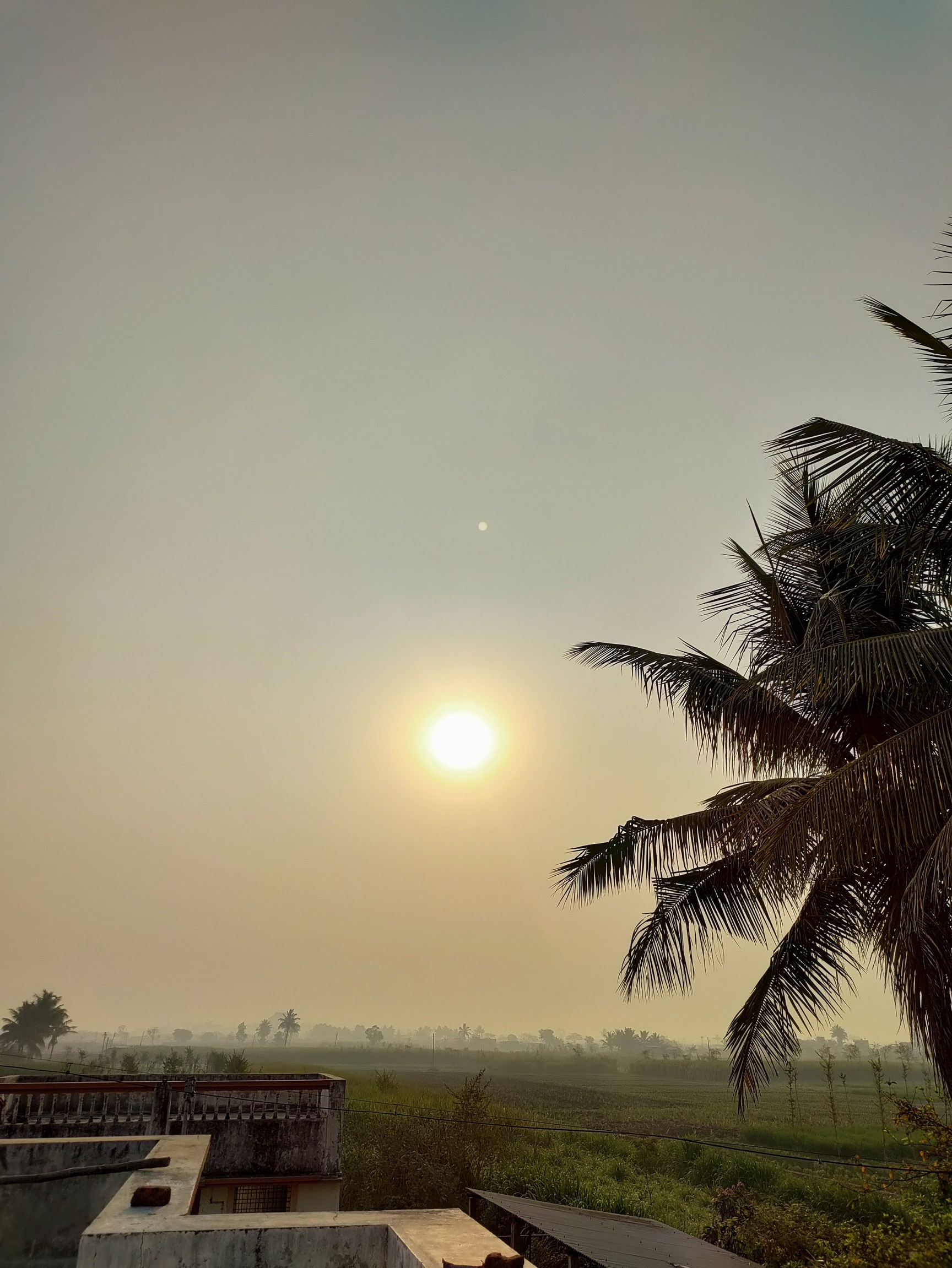 Gunjal Patil Premises in Samnapur, Sangamner - Best Agro Farming ...