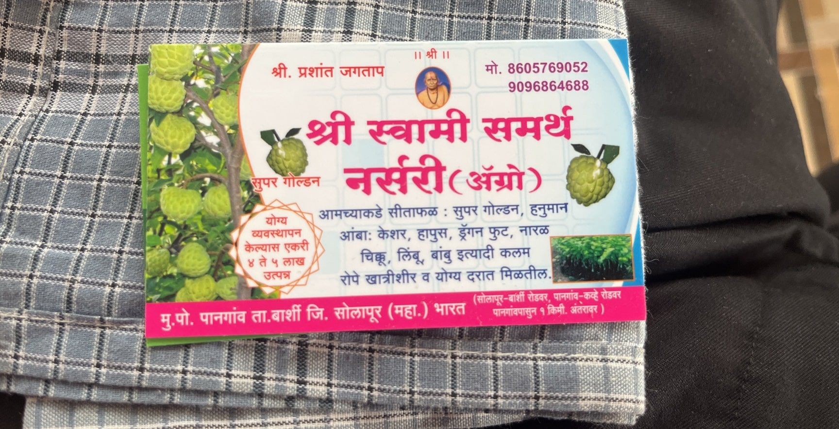 Shri Swami Samarth Nursery in Barshi, Barshi - Best Papaya Plant ...