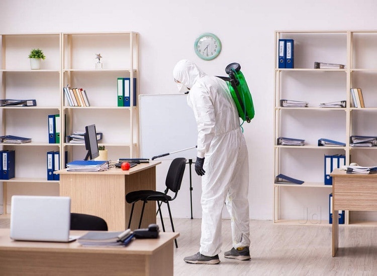 Pest Control Services for Bed Bugs near Kc College Of Law Churchgate ...