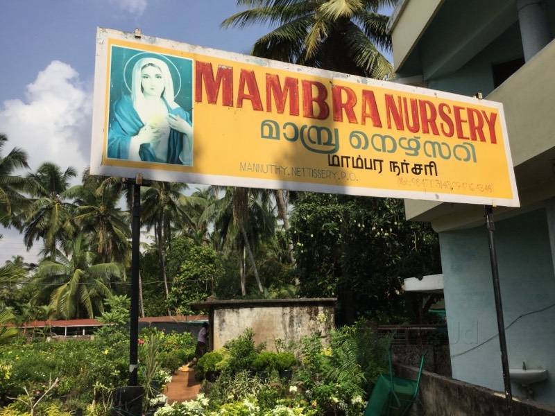 Mambra Nursery (Closed Down) in Mannuthy, Thrissur - Best in Thrissur ...