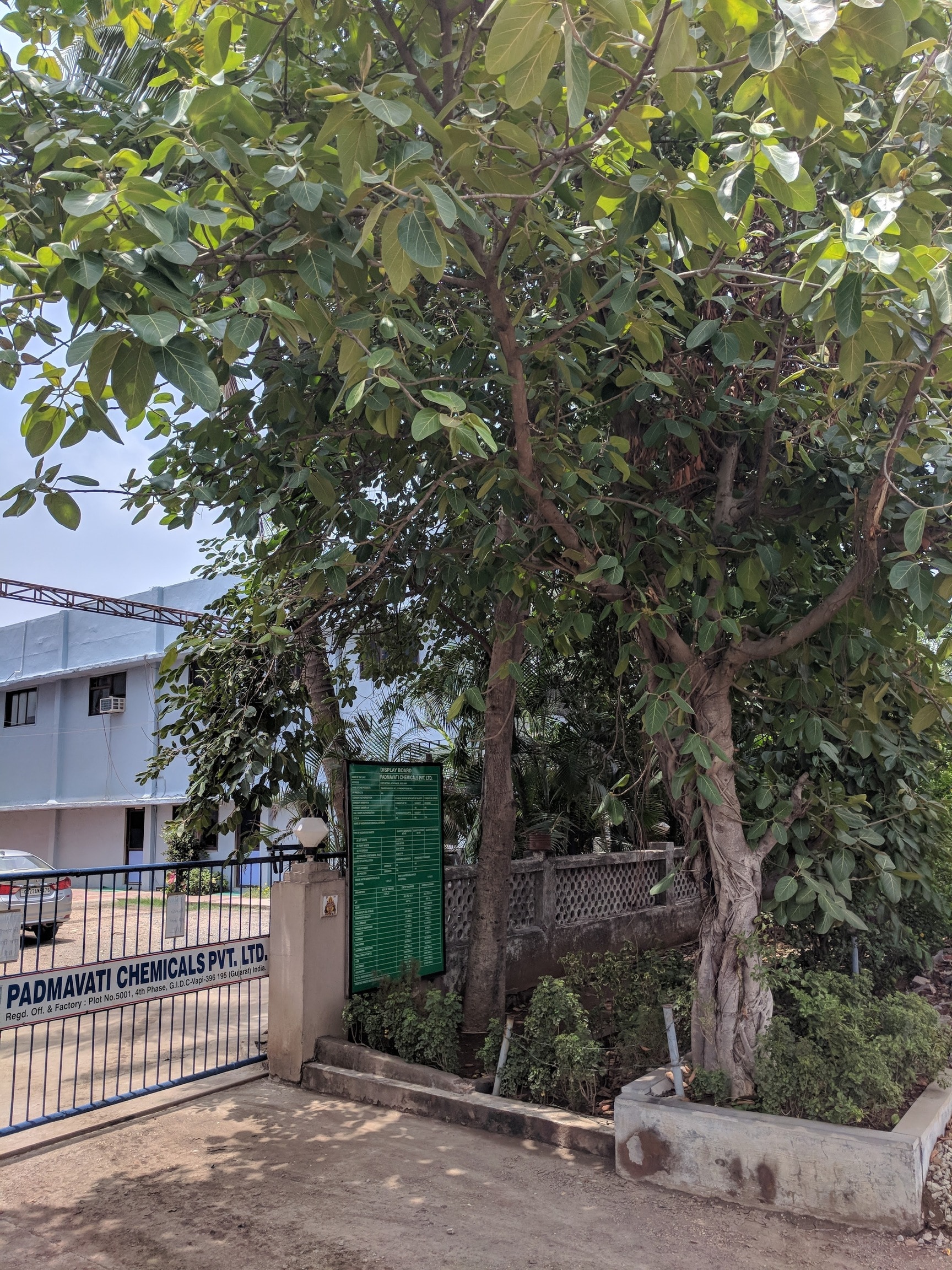 Padmavati Chemicals Pvt Ltd in Vapi Industrial Estate, Vapi - Best ...