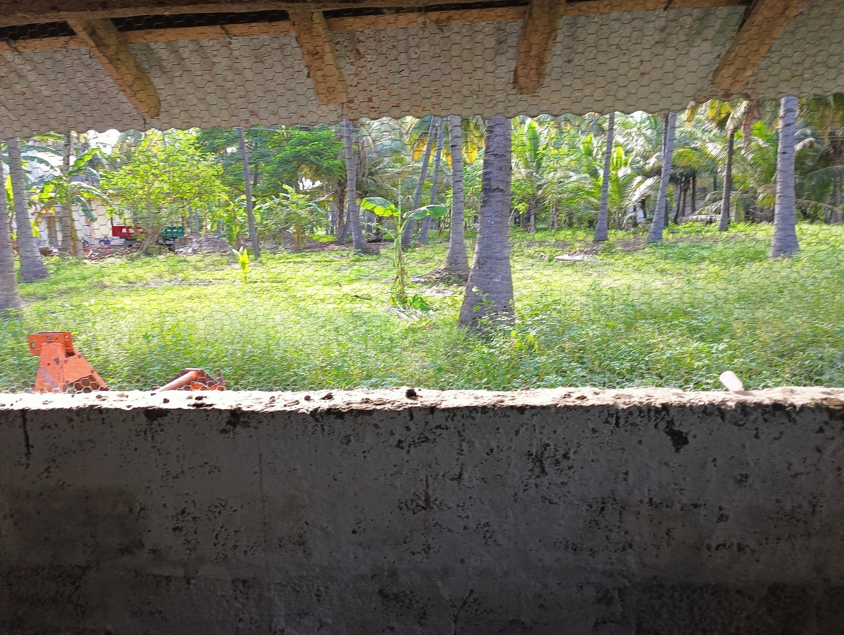 A S Farms in Indira Nagar, Vellore - Best Poultry Farms in Vellore ...