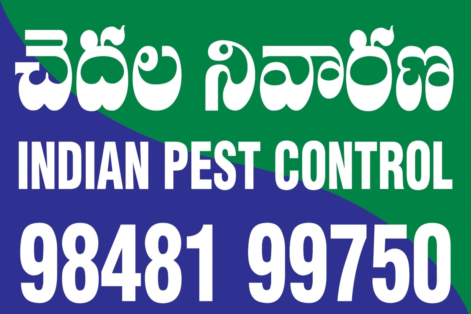 Termite Pest Control Services near Hotel Geetha Regency Arundalpet ...