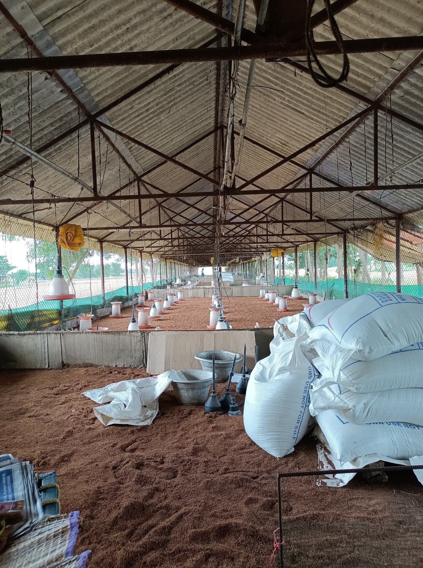 Murugan Poultry Farm in Avayakuppam, Villupuram - Best Poultry Farms in ...
